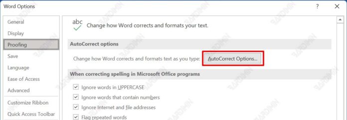 Create Autocorrect Dynamic Entries In Microsoft Word